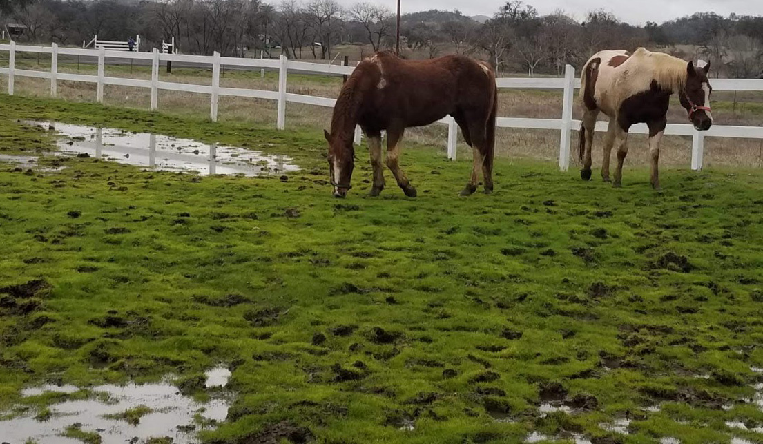 A Miserable Week – Andi Carter's Blog