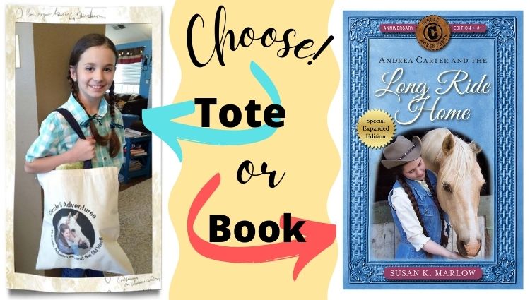 Levi Character Quiz – Andi Carter’s Blog