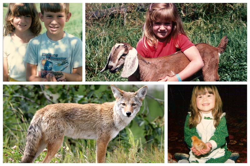 Coyotes & Chickens & Children, Oh My! – Andi Carter's Blog