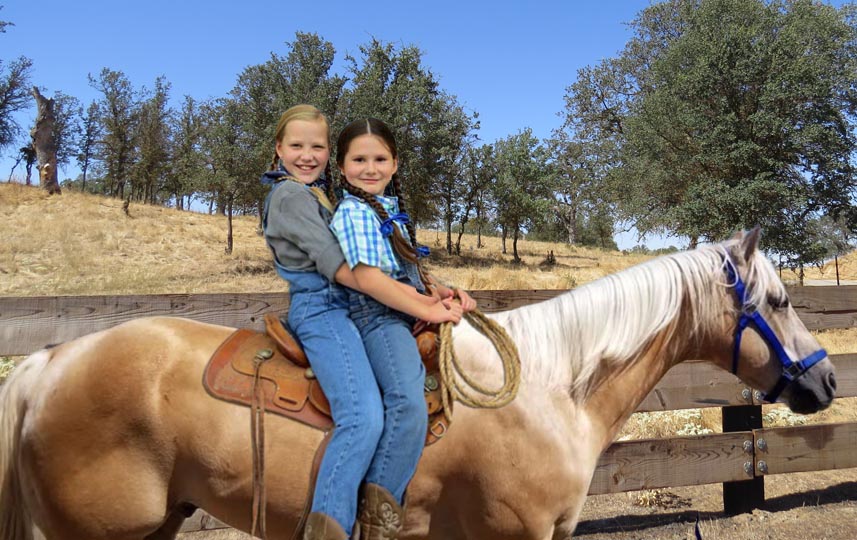 Look-alike Fun Winner – Andi Carter's Blog