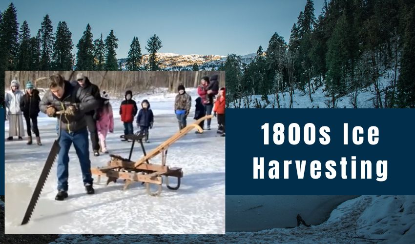 Harvesting Ice – Andi Carter's Blog