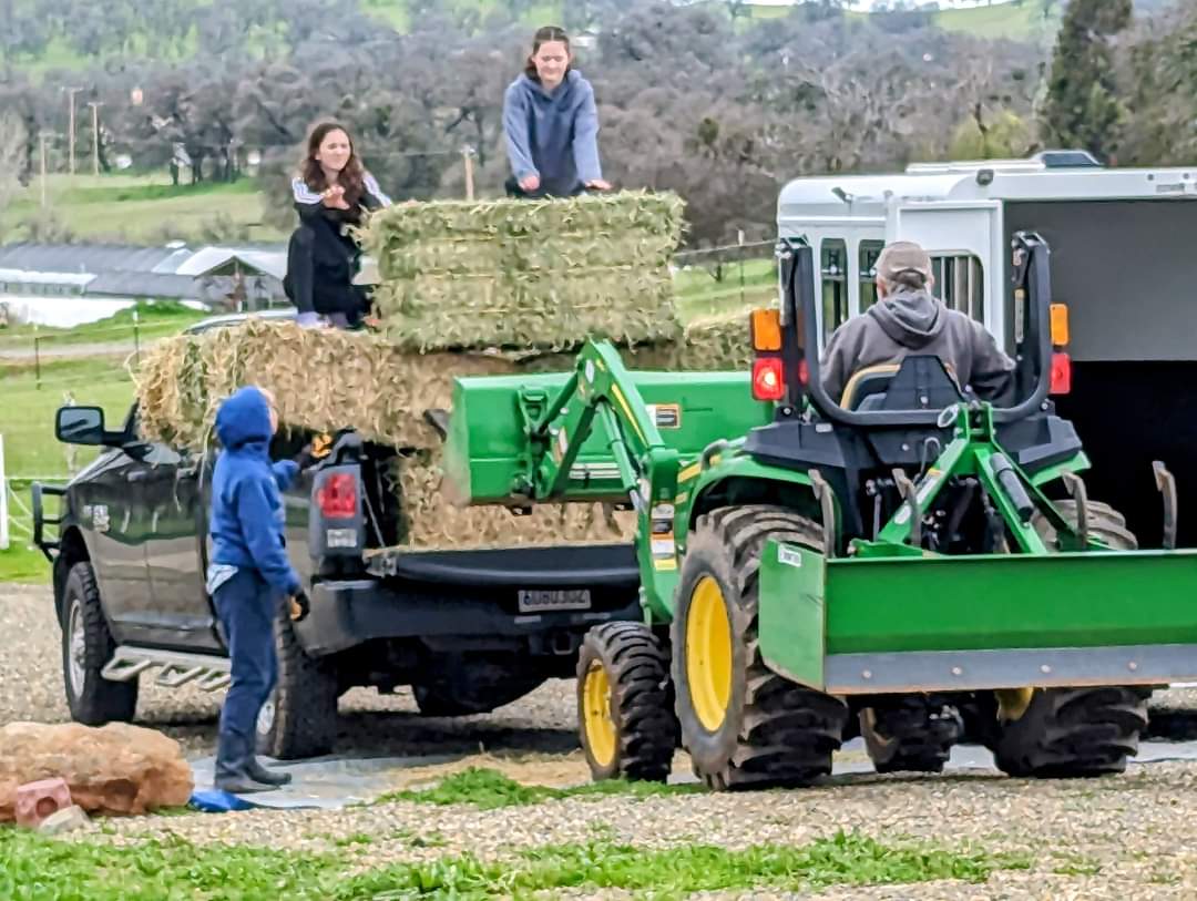 Loading Hay Then and Now – Andi Carter's Blog