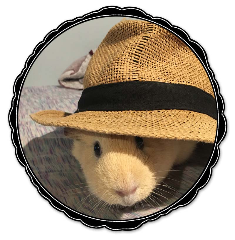 allie-lynn-1 – Andi Carter's Blog