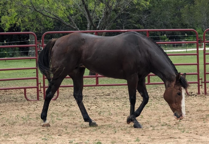 Welcome, Maggie! – Andi Carter's Blog