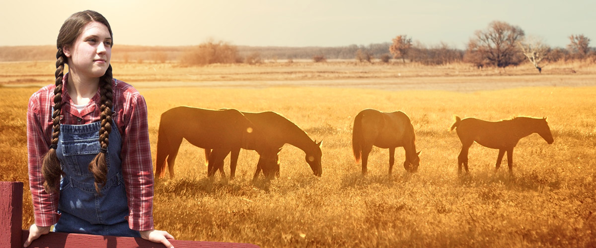 Andi Carter's Blog – HORSES, ADVENTURE & THE OLD WEST